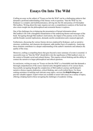 Essays On Into The Wild | PDF