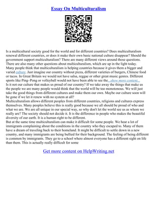 Essays On Multiculturalism | PDF