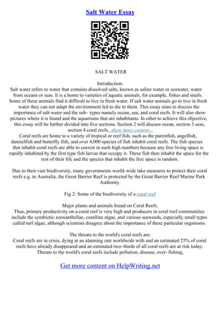 Essays On Water | PDF