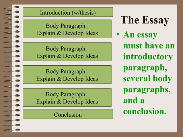 Essay Tips & Grading Symbols | PPT
