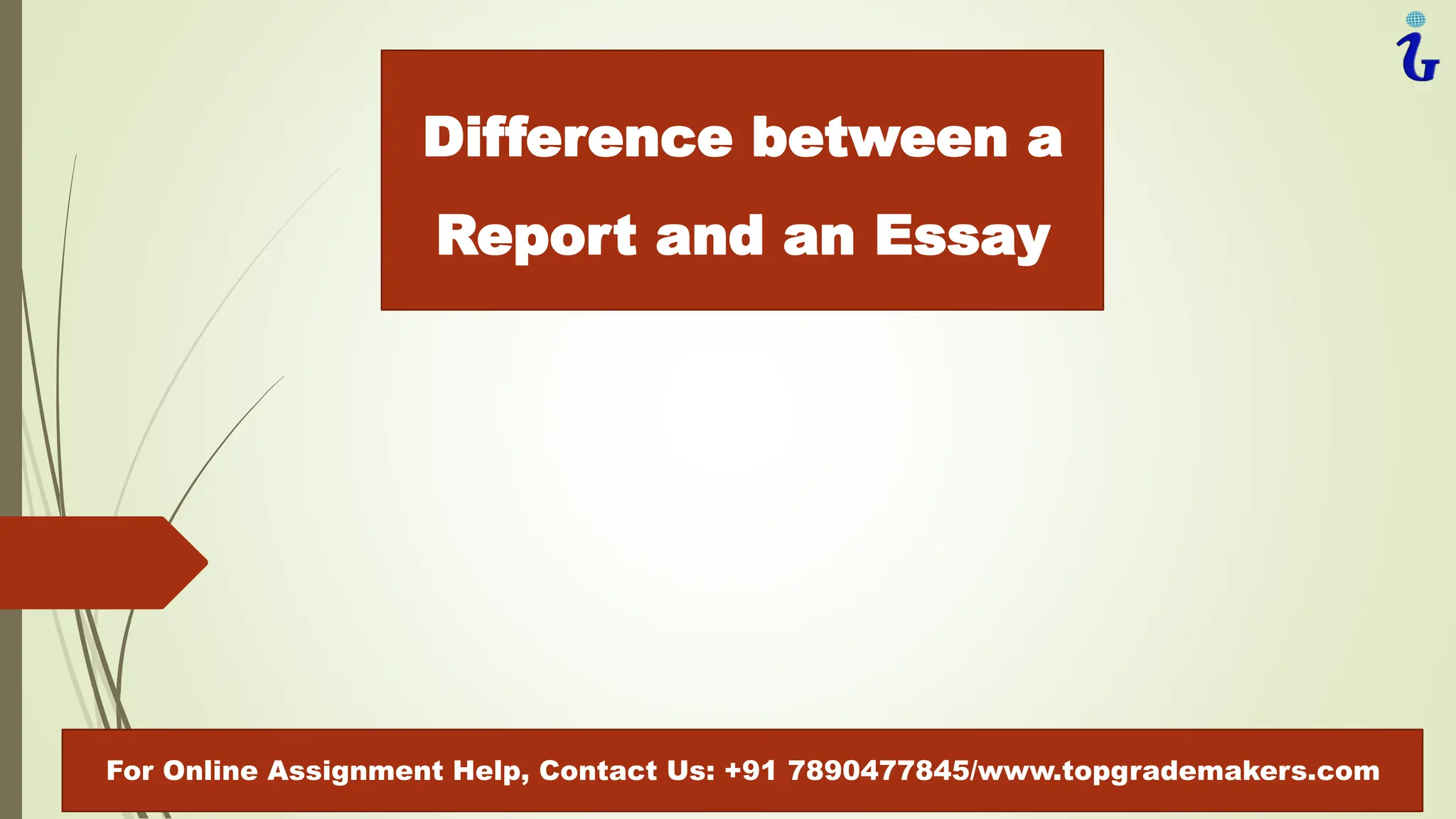 Essay vs report.pdf