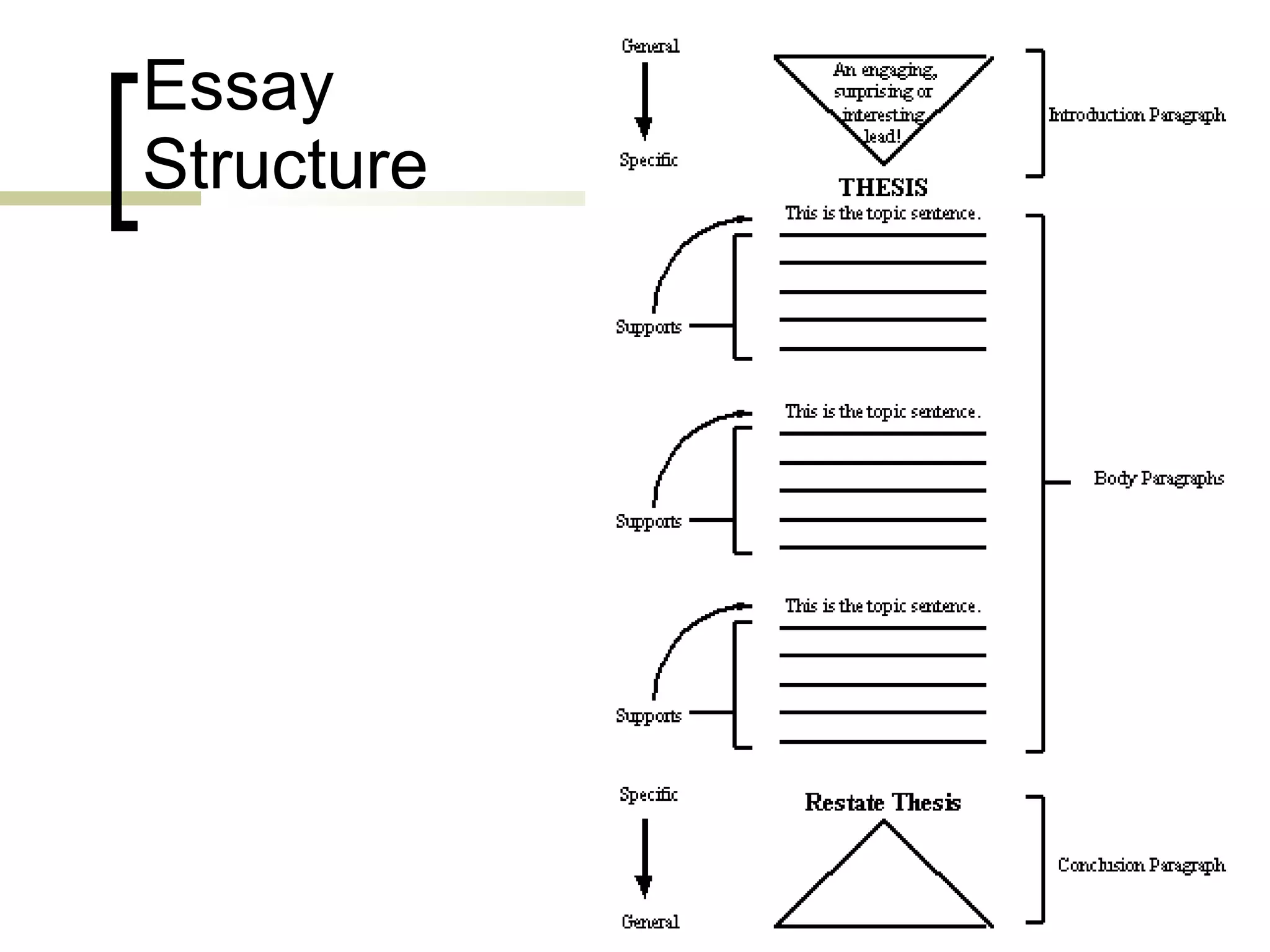 Essay Writing | PPT