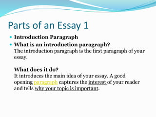 Essay Writing.pptx