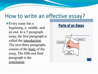 Essay Writing.pptx