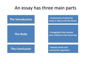 Essay Writing For Dummies -By Mr. McClung | PDF