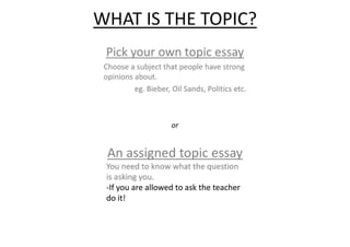 Essay Writing For Dummies -By Mr. McClung | PDF