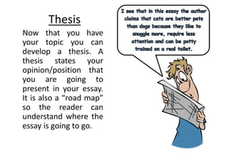 Essay Writing For Dummies -By Mr. McClung | PDF