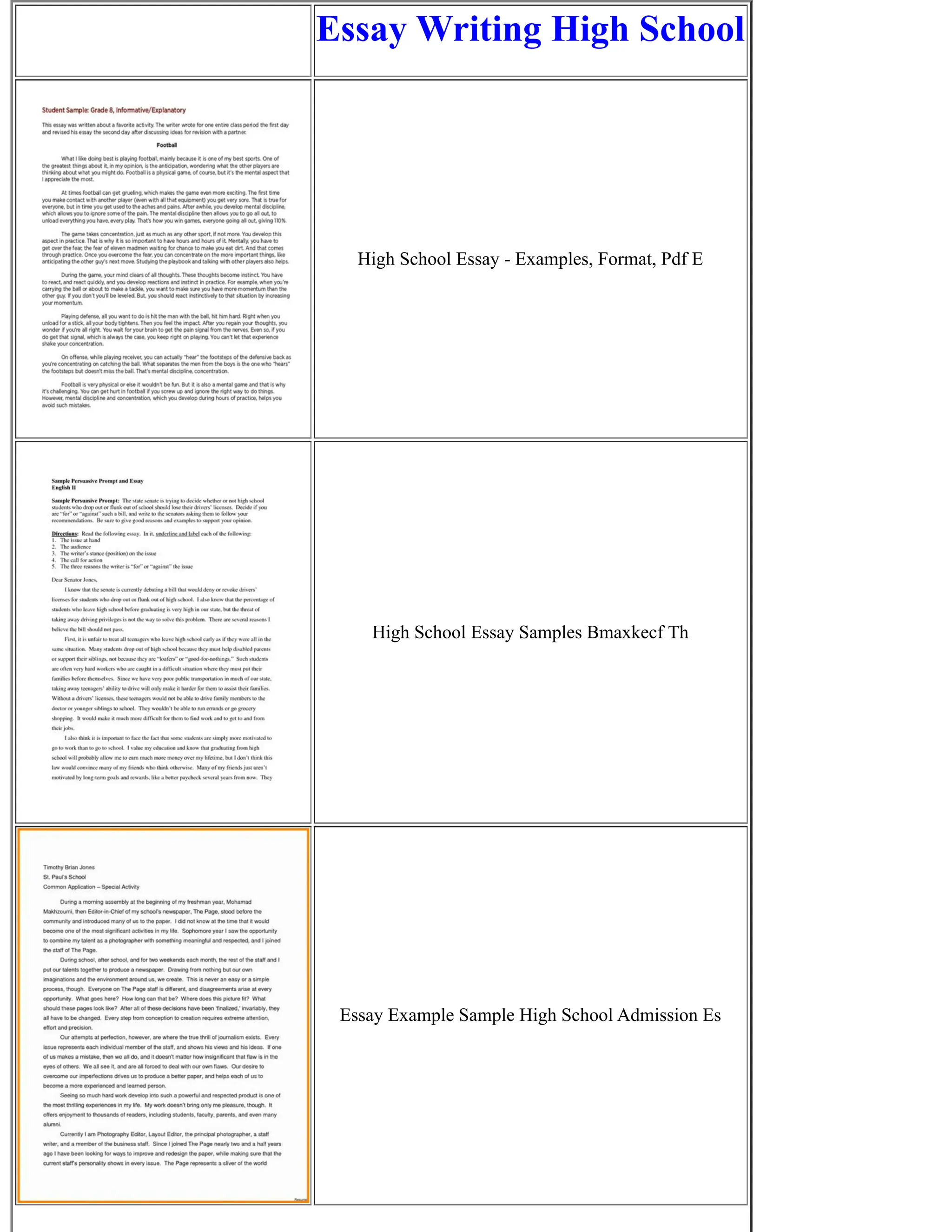 Essay Writing High School | PDF