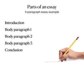 Essay Writing Introduction | PDF