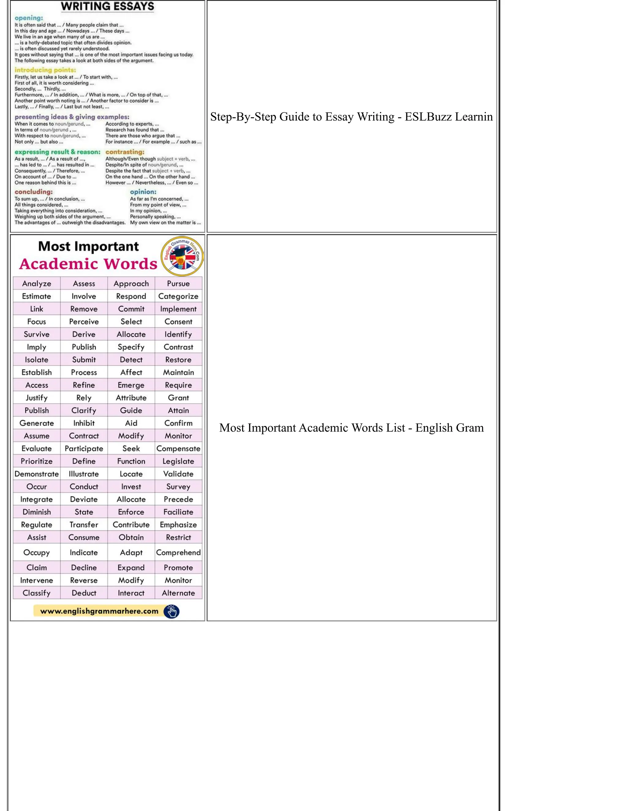 Essay Writing Vocabulary | PDF