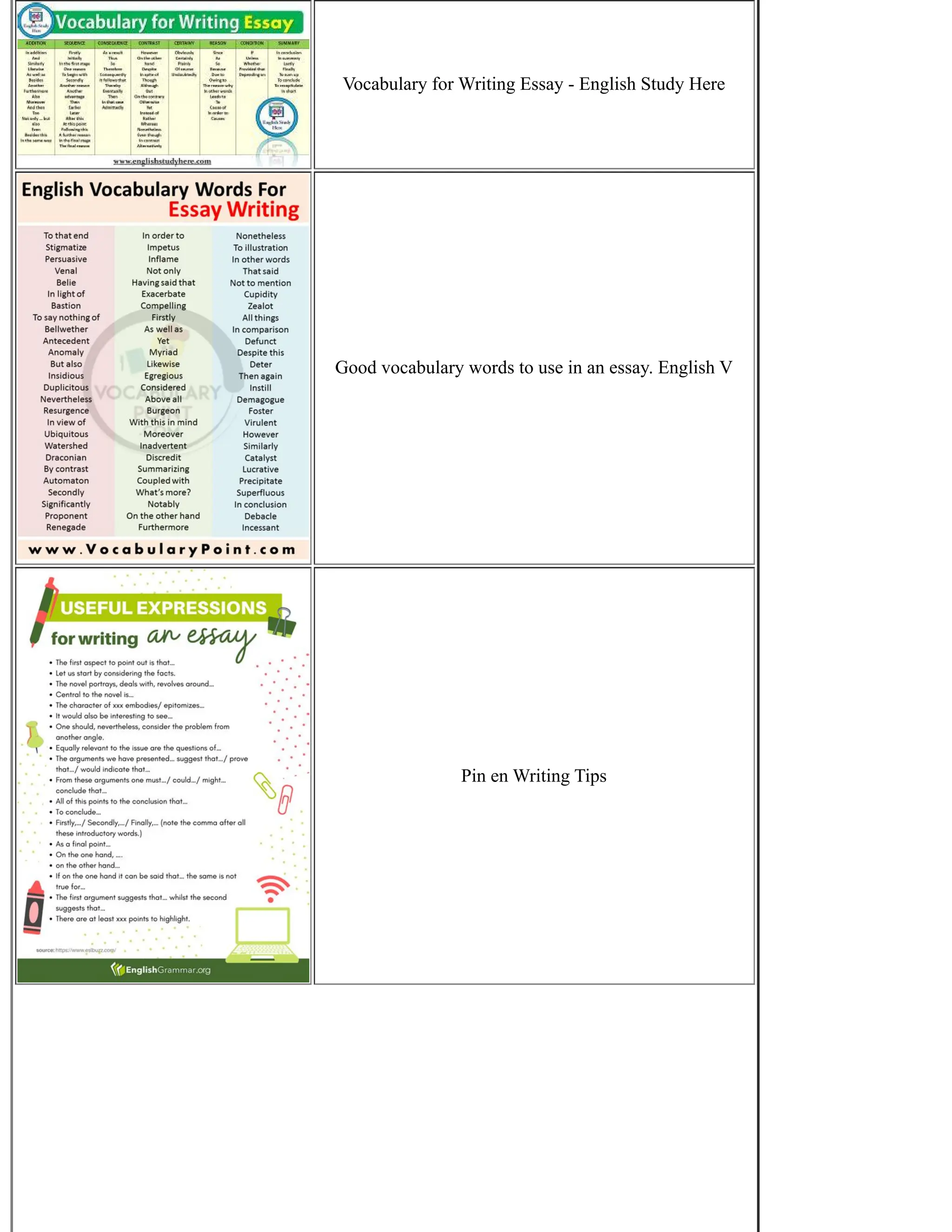 Essay Writing Vocabulary | PDF