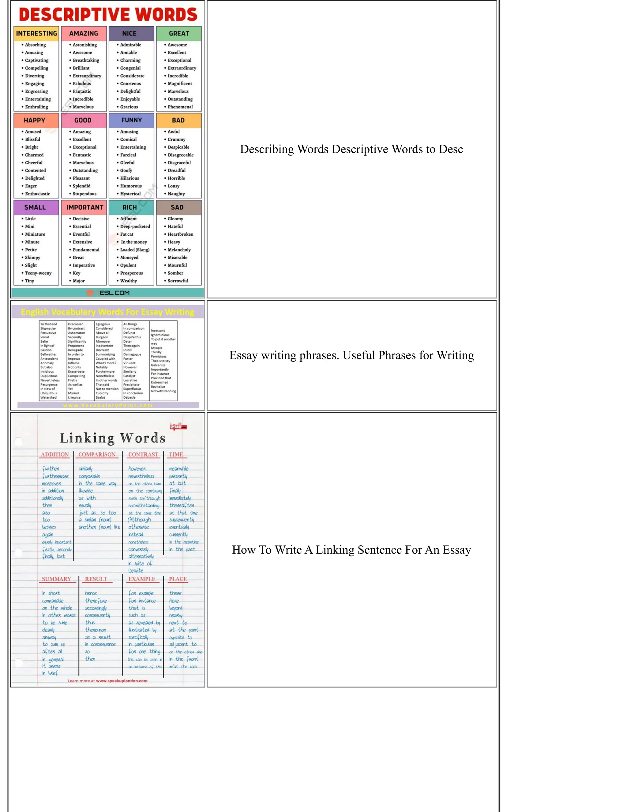 Essay Writing Vocabulary | PDF