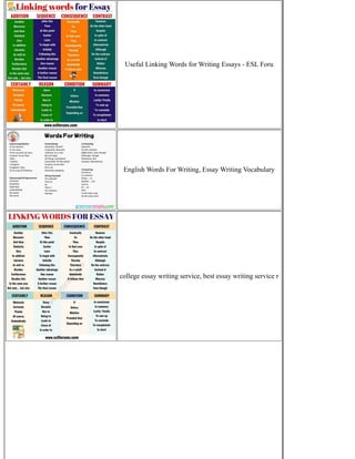 Essay Writing Vocabulary | PDF