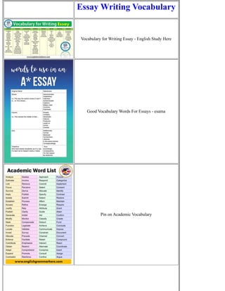 Essay Writing Vocabulary | PDF