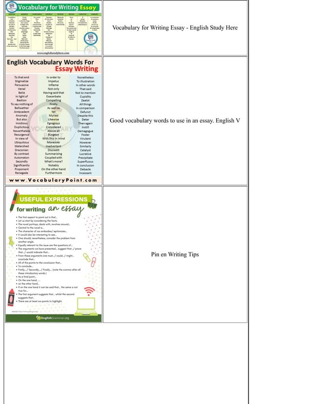 Essay Writing Vocabulary | PDF
