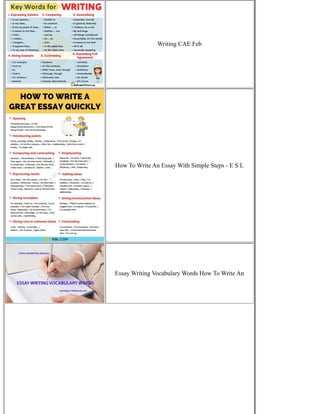 Essay Writing Vocabulary | PDF