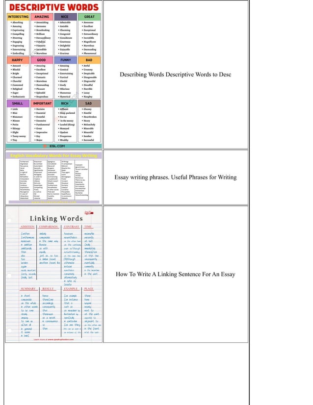 Essay Writing Vocabulary | PDF