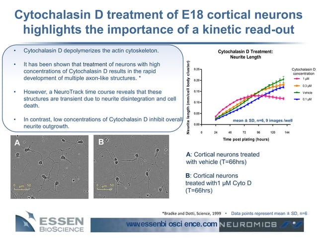 Essen bioscience neuromics 9_17_12 | PPTX