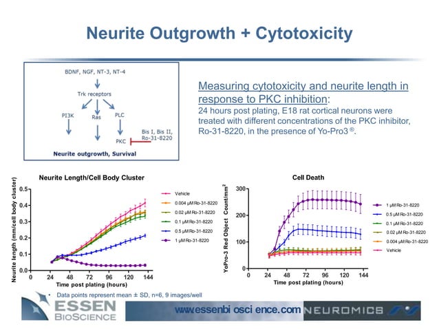 Essen bioscience neuromics 9_17_12 | PPTX