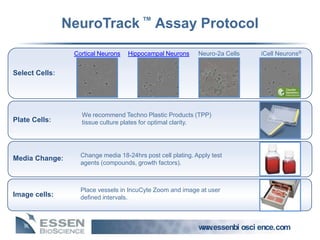 Essen bioscience neuromics 9_17_12 | PPTX