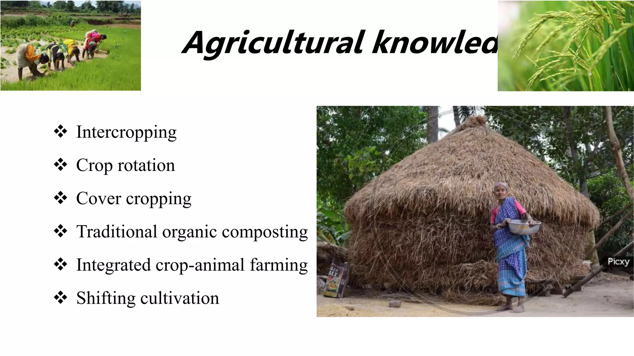 Essence of Indian Knowledge and tradition.pptx