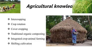 Essence of Indian Knowledge and tradition.pptx