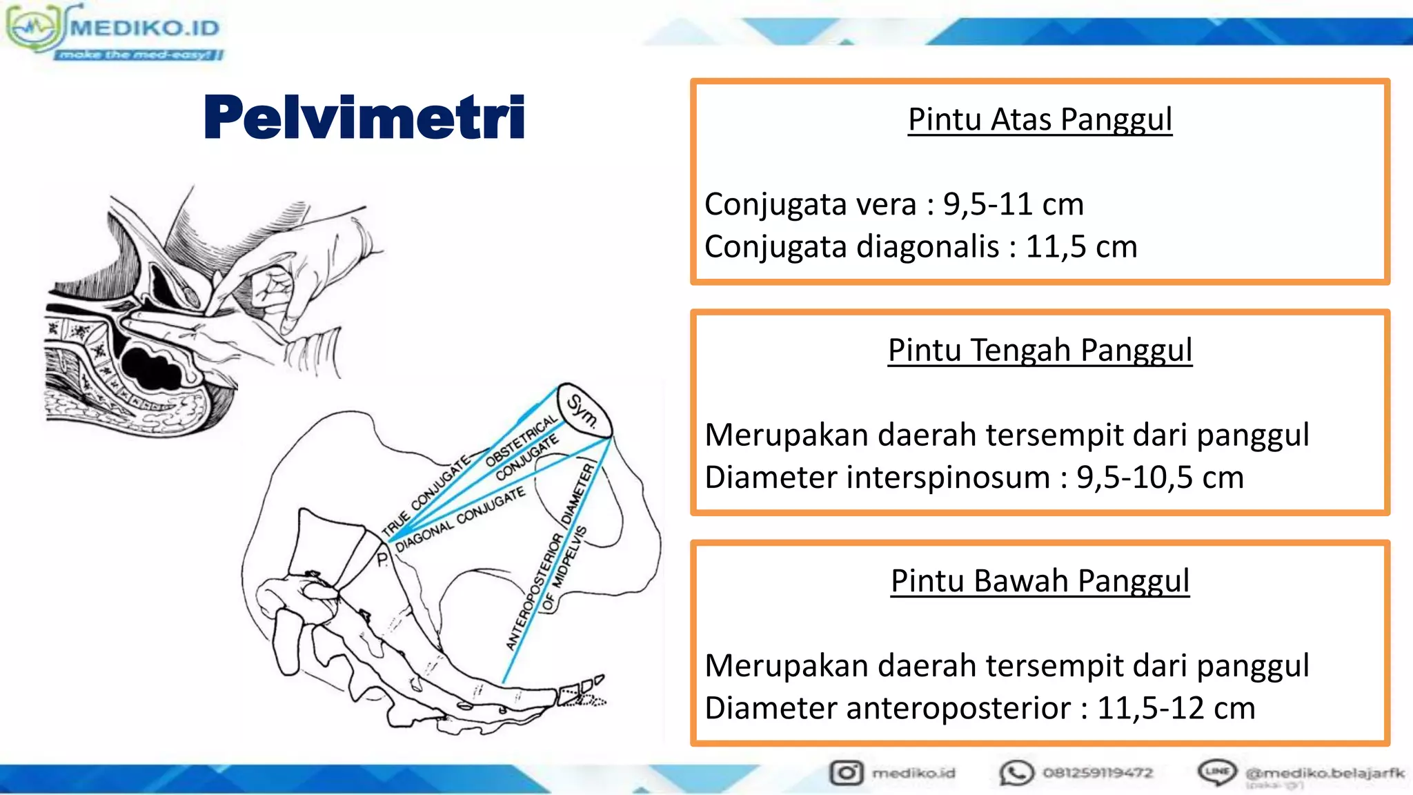 Essensial Koas Obgyn 1.pdf