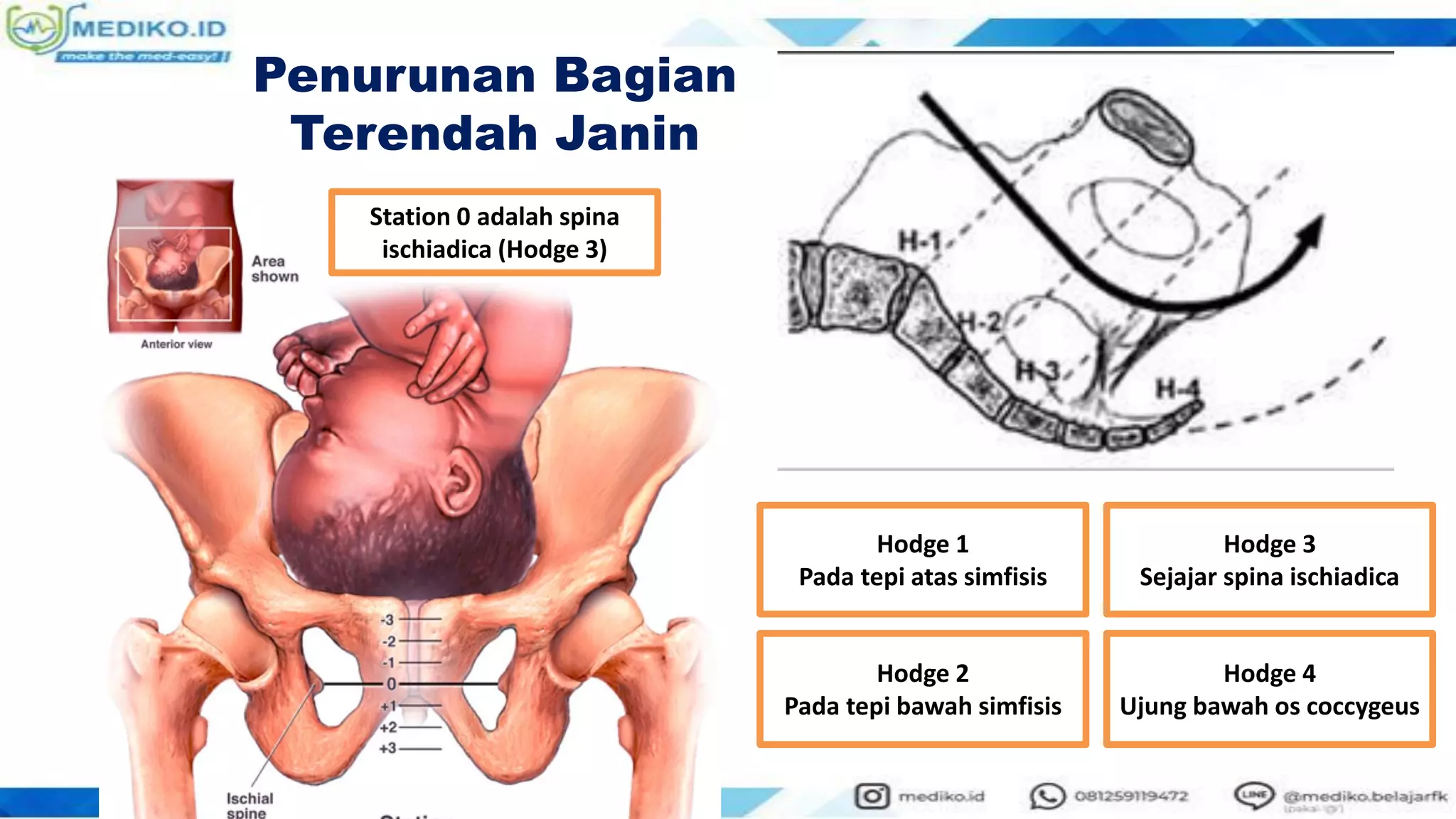 Essensial Koas Obgyn 1.pdf