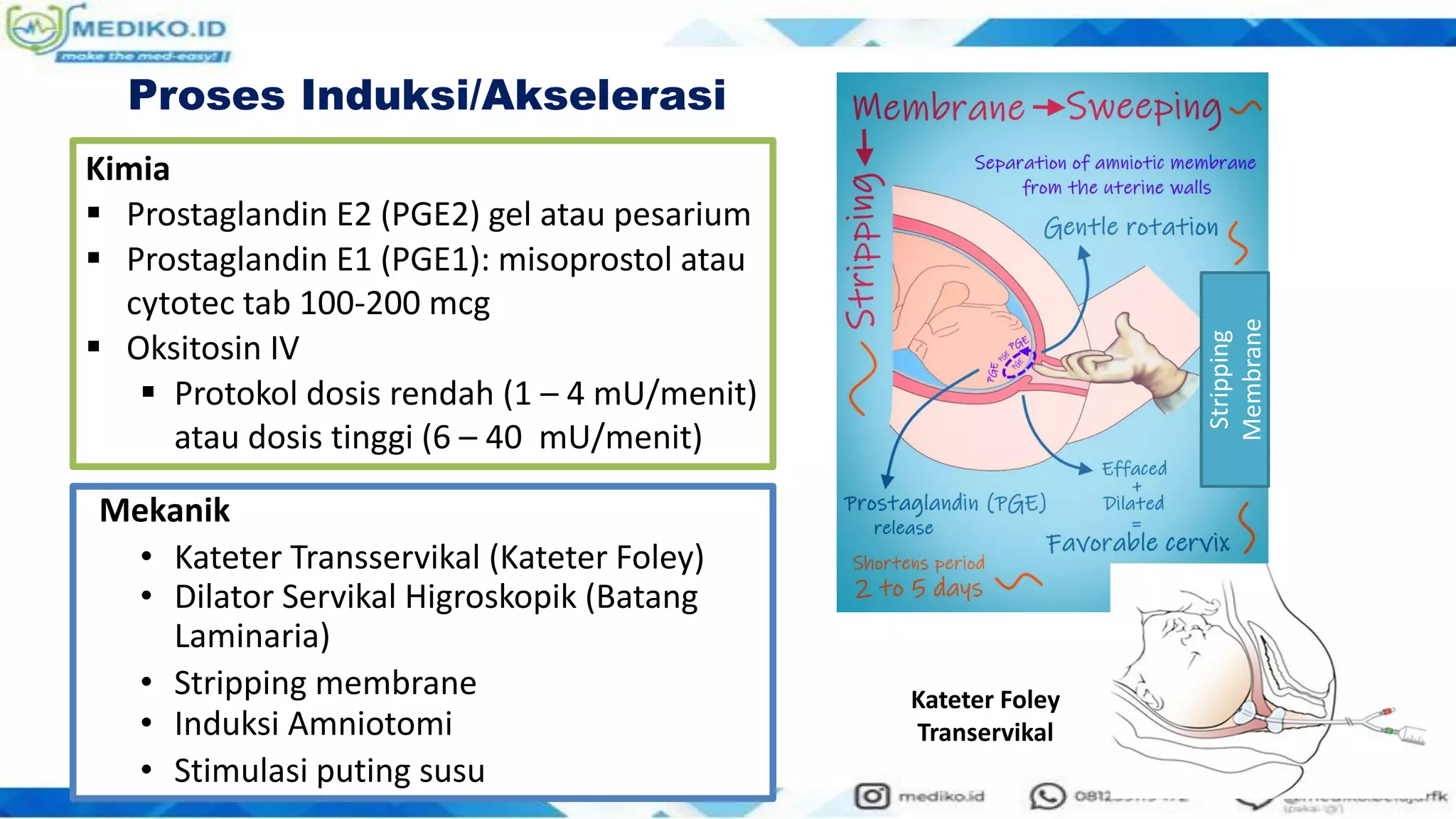 Essensial Koas Obgyn 1.pdf