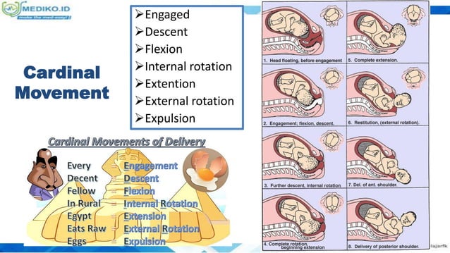 Essensial Koas Obgyn 1.pdf