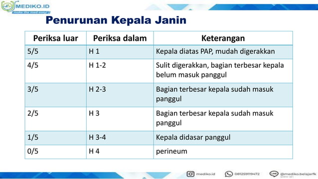Essensial Koas Obgyn 1.pdf