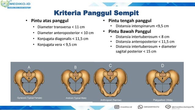 Essensial Koas Obgyn 1.pdf