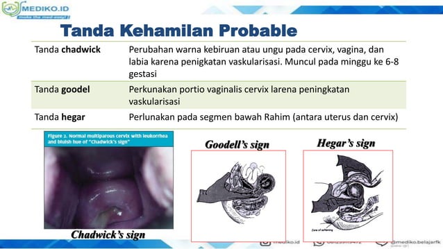 Essensial Koas Obgyn 1.pdf