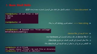 [Arabic] Essential tools in Linux | PPTX