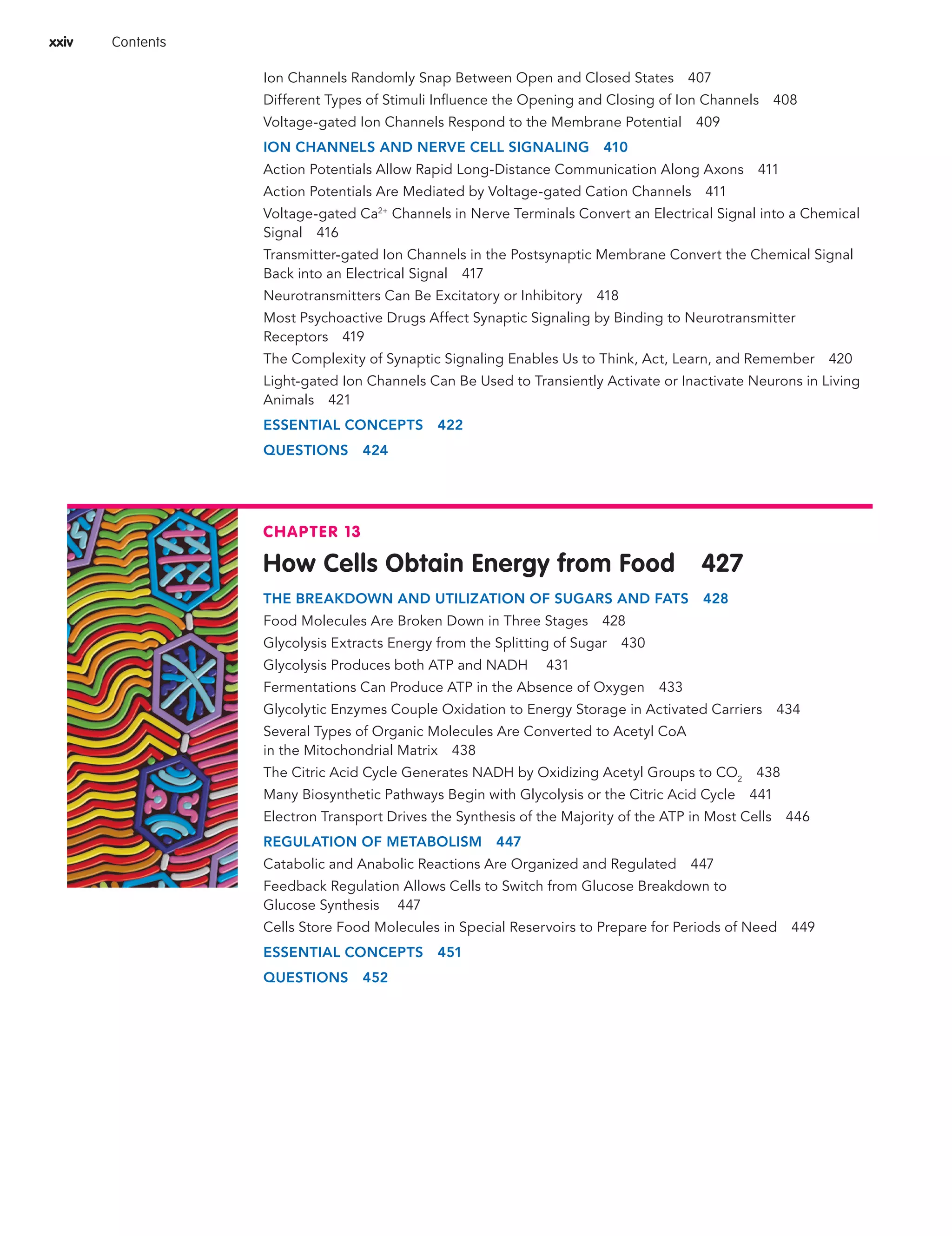 Essential Cell Biology (5th) | PDF