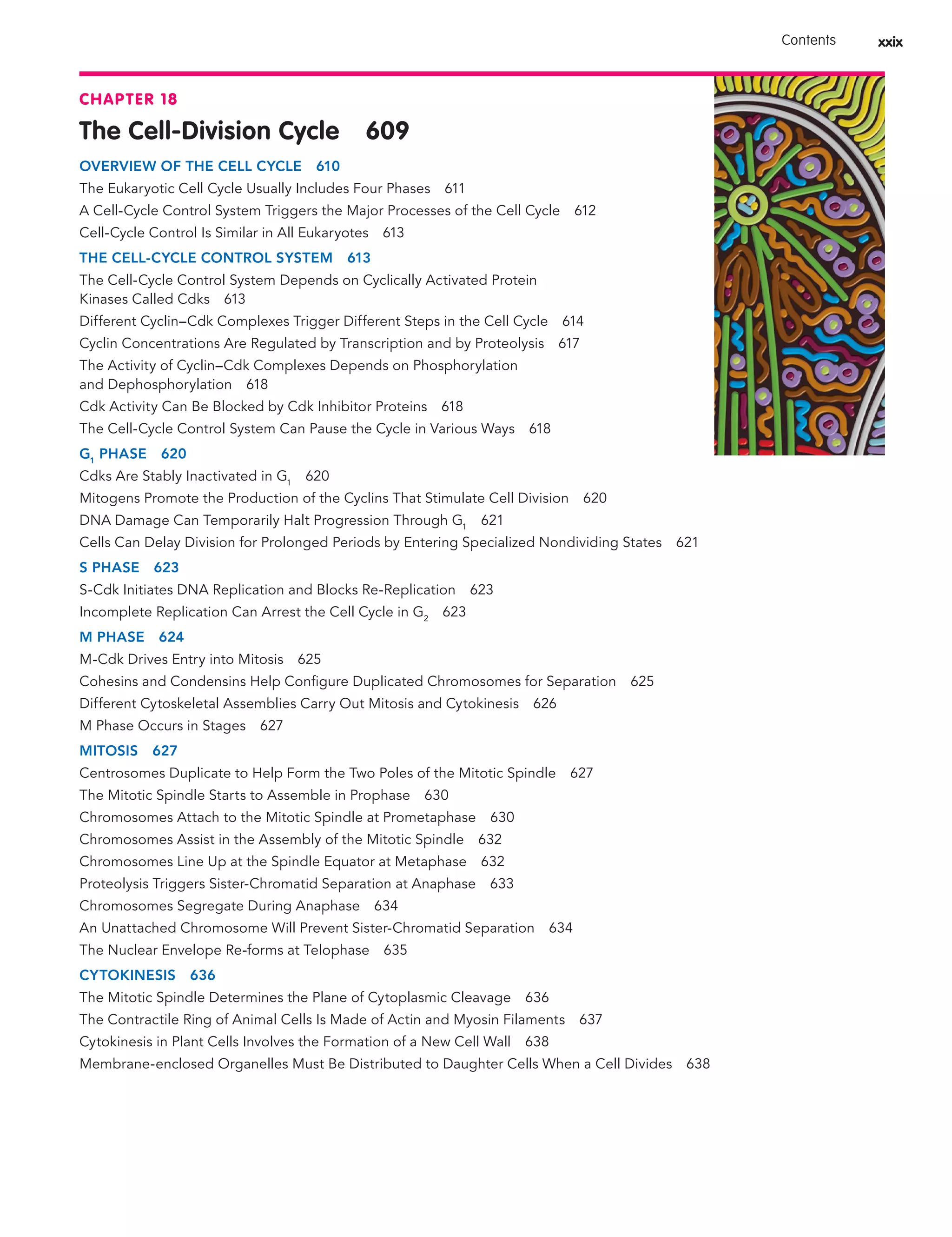 Essential Cell Biology (5th) | PDF