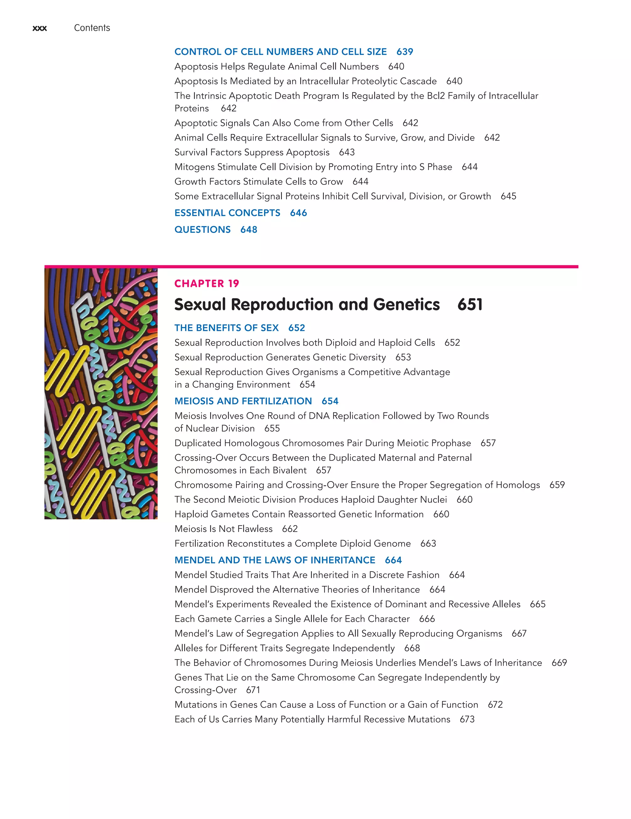 Essential Cell Biology (5th) | PDF