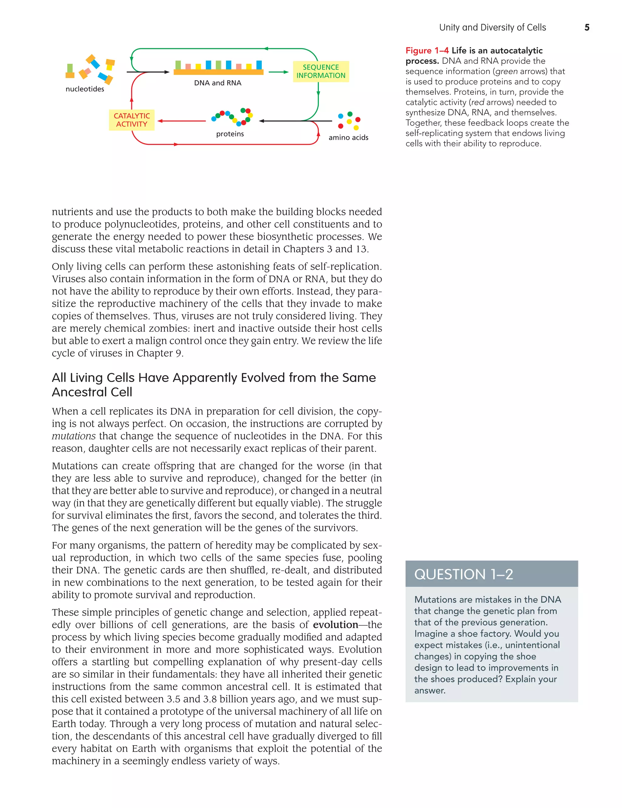 Essential Cell Biology (5th) | PDF