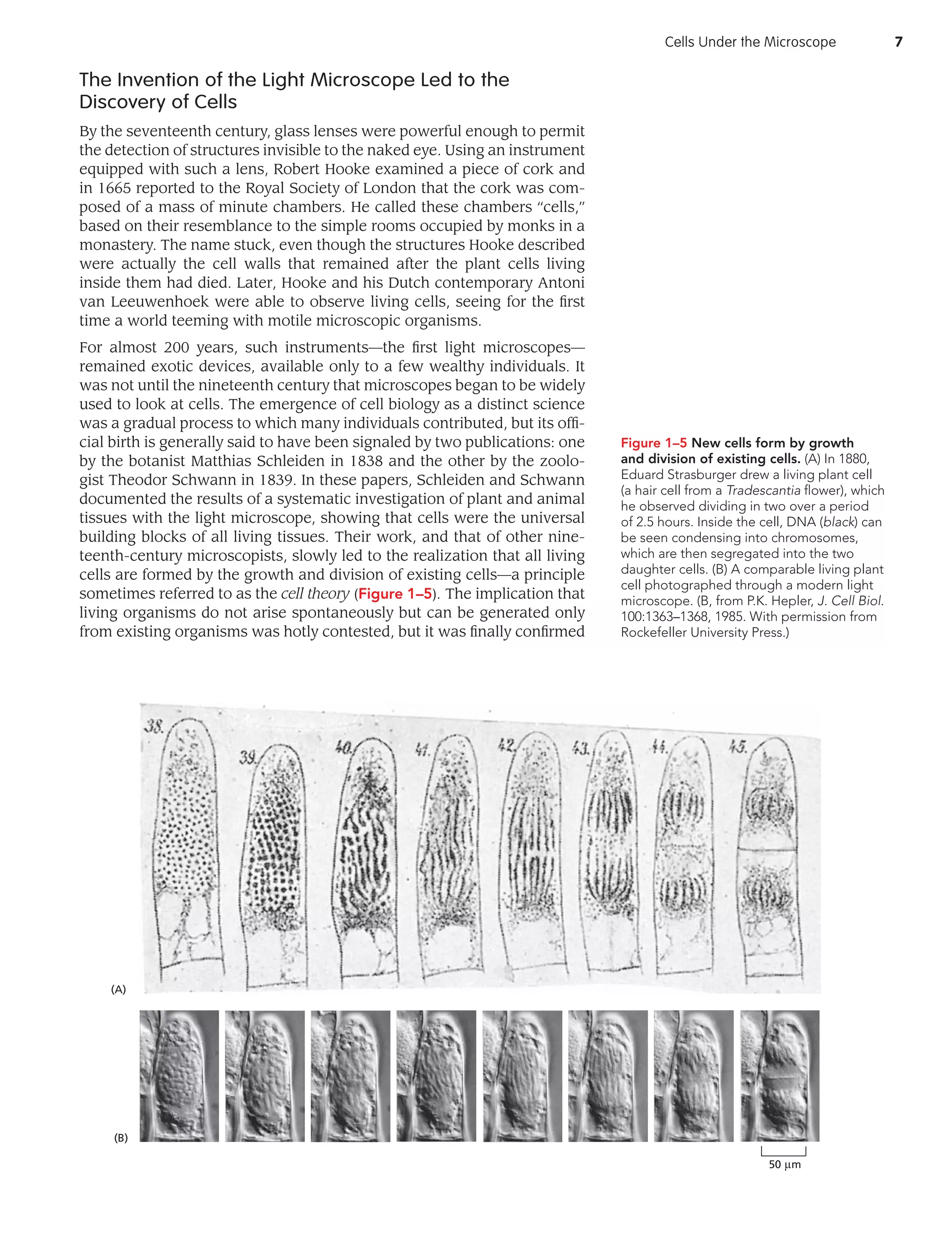 Essential Cell Biology (5th) | PDF