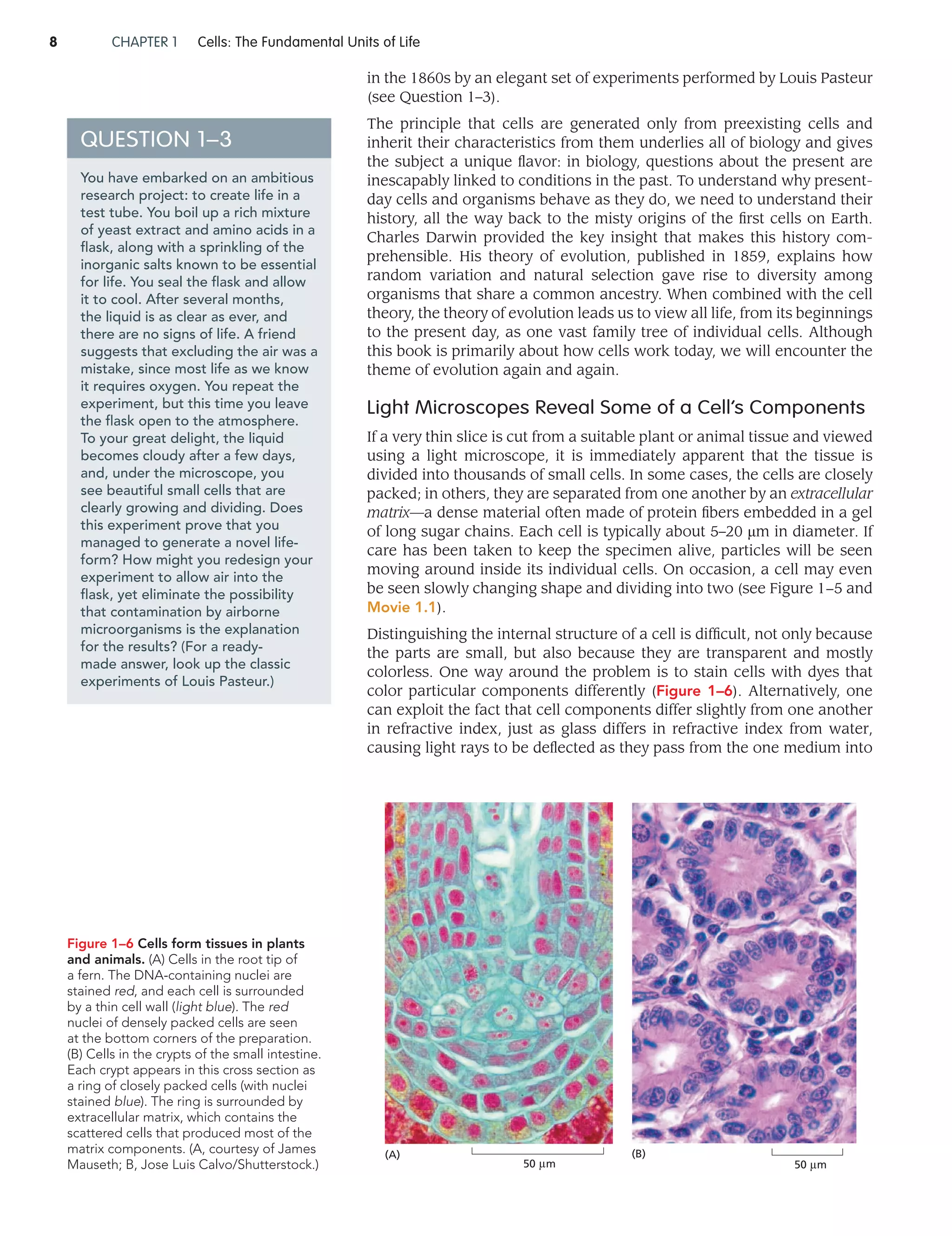 Essential Cell Biology (5th) | PDF