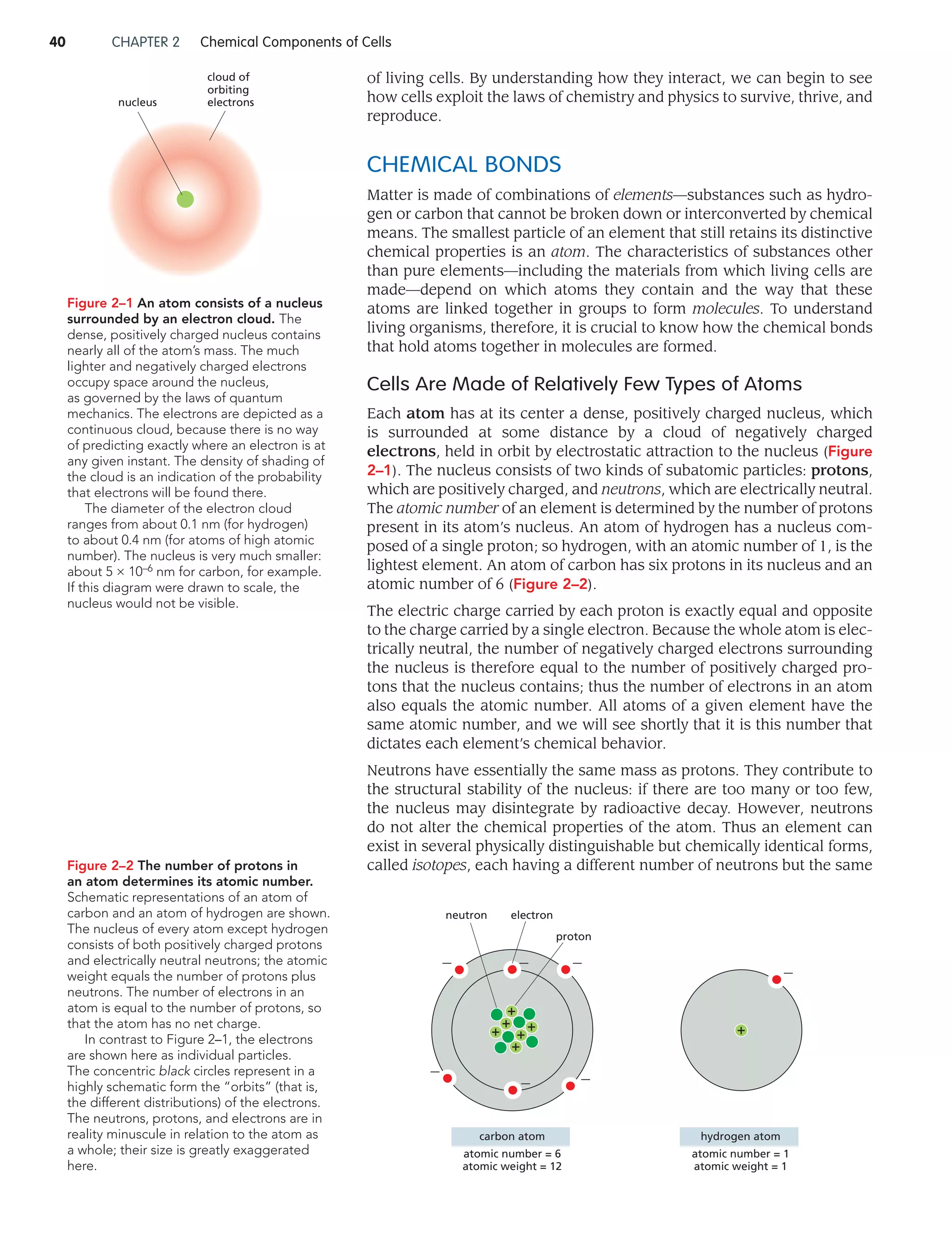 Essential Cell Biology (5th) | PDF