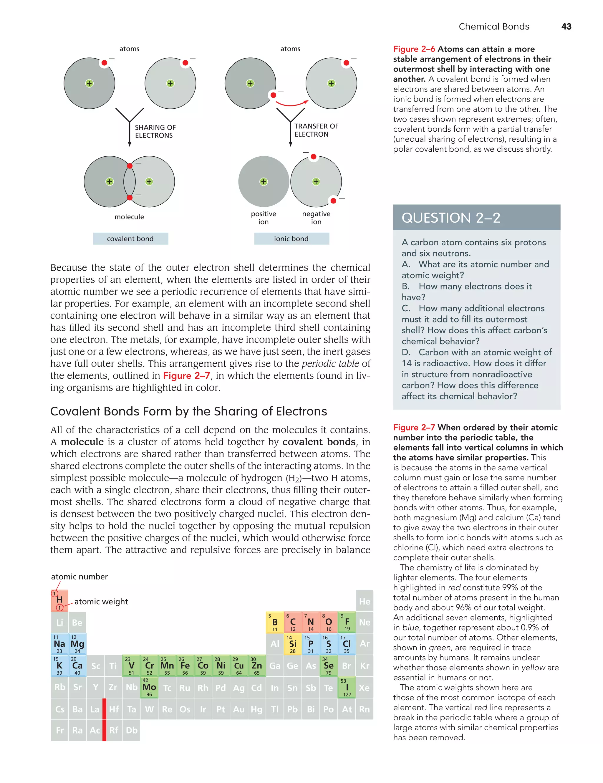 Essential Cell Biology (5th) | PDF