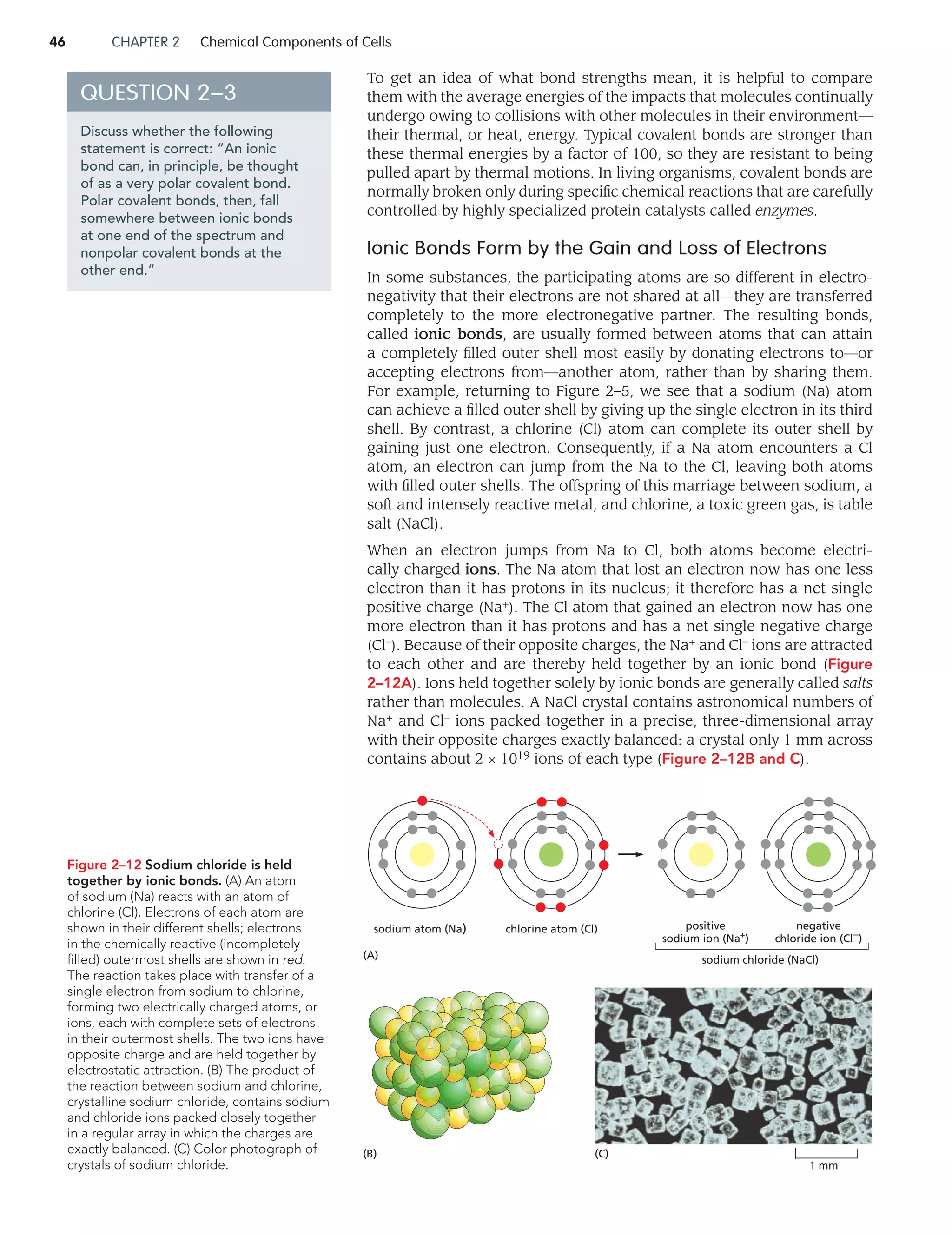 Essential Cell Biology (5th) | PDF