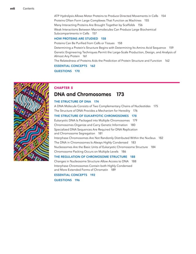 Essential Cell Biology (5th) | PDF