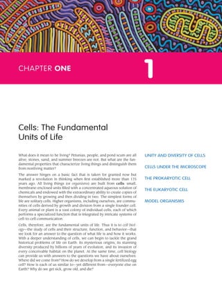 Essential Cell Biology (5th) | PDF