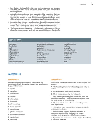 Essential Cell Biology (5th) | PDF