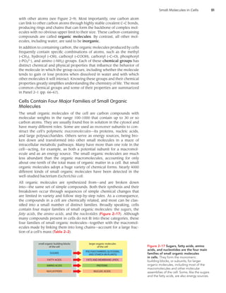Essential Cell Biology (5th) | PDF