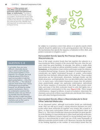 Essential Cell Biology (5th) | PDF