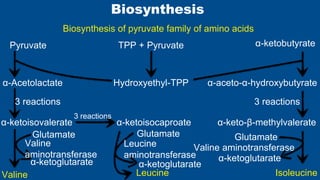 Essential amino acids - Biochemistry………. | PPTX