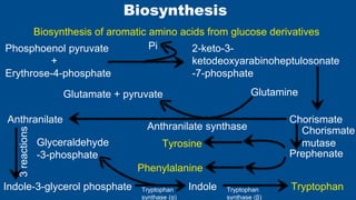 Essential amino acids - Biochemistry………. | PPTX
